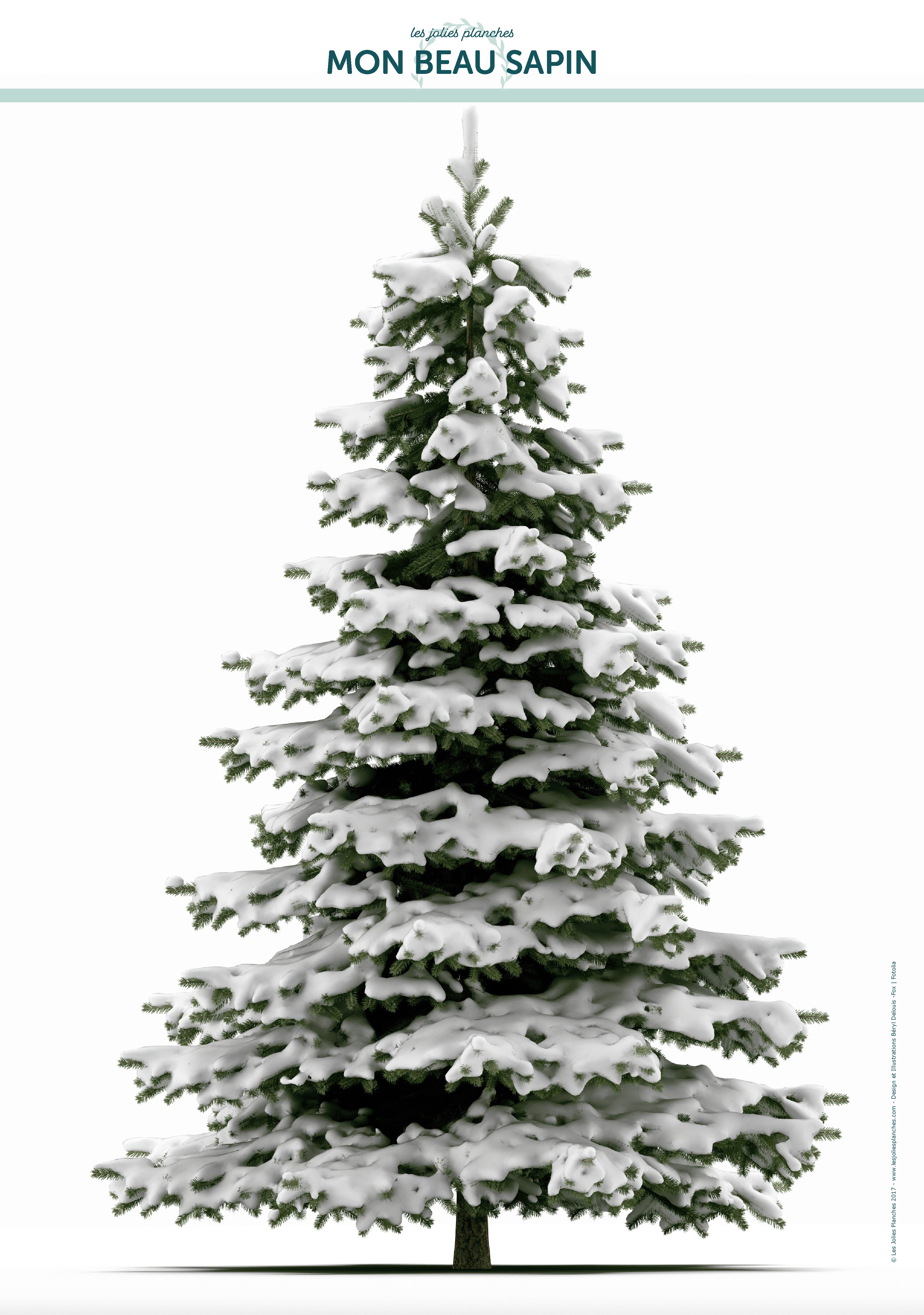 Mon beau sapin - Les Jolies Planches