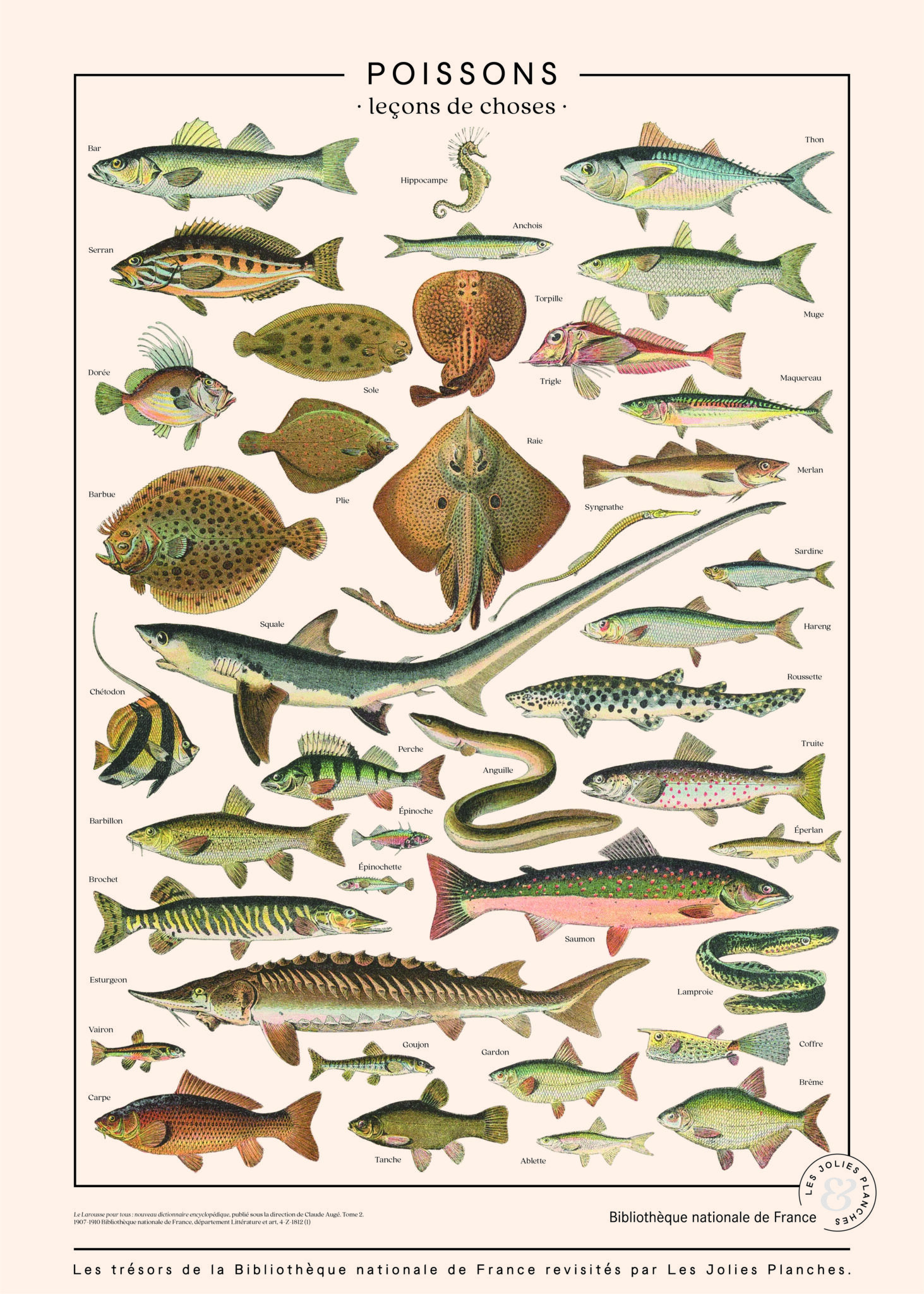 Poissons - Les Jolies Planches